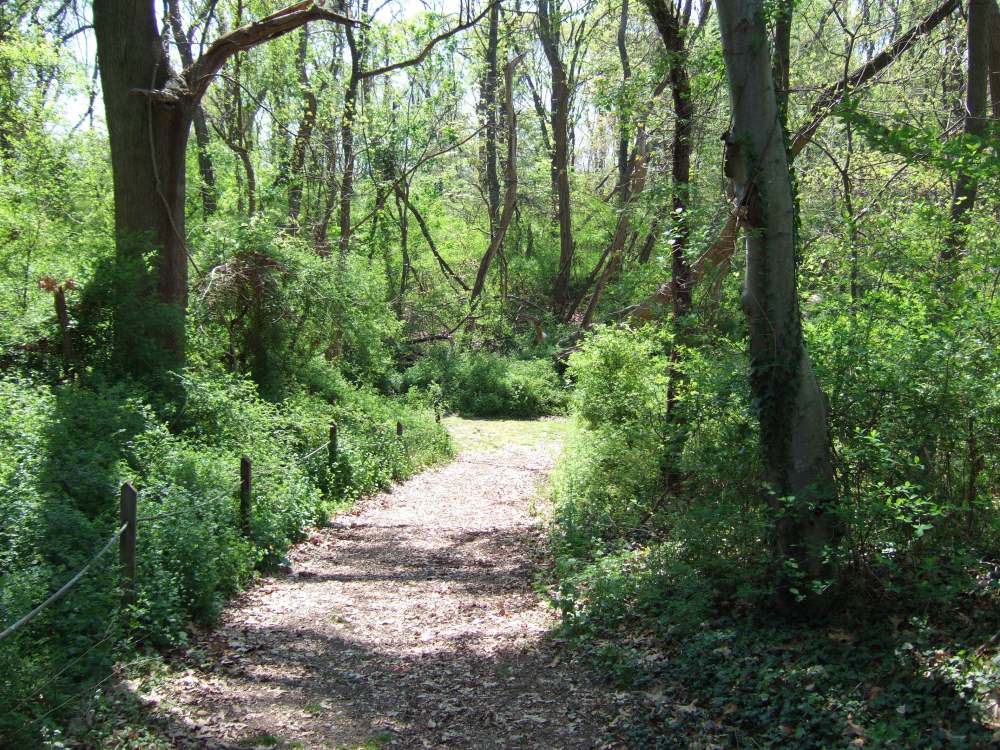 Garvies Point Museum and Preserve – DINOSAURS AND BARBARIANS