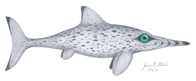 Ophthalmosaurus Ophthalmosaurus 3D Model 3D Printable | CGTrader