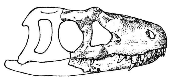 Lukousaurus: The first “raptor”? – DINOSAURS AND BARBARIANS
