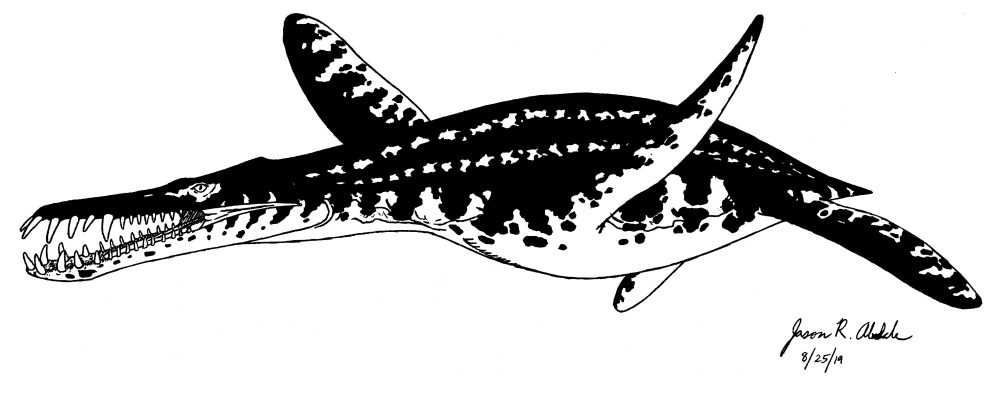 Liopleurodon – DINOSAURS AND BARBARIANS