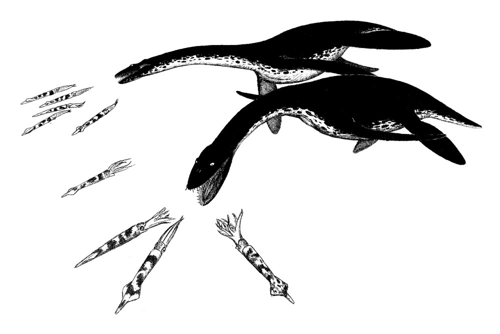 Pantosaurus – DINOSAURS AND BARBARIANS