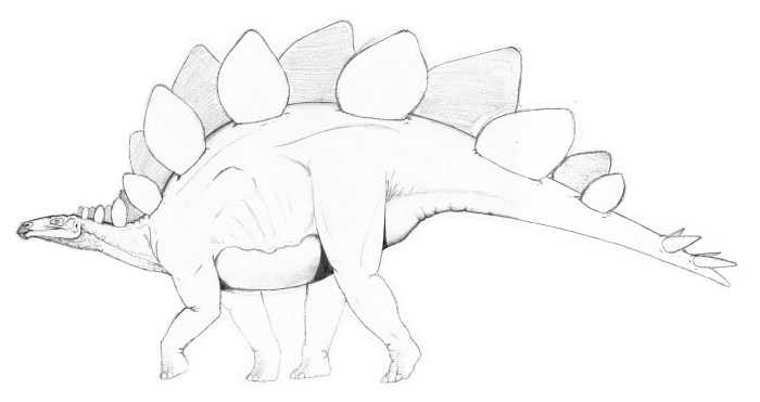 Stegosaurus – DINOSAURS AND BARBARIANS