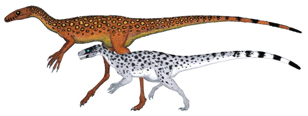 Coelurus again – DINOSAURS AND BARBARIANS