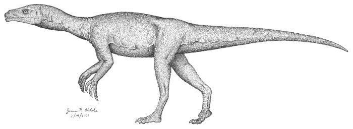 Panphagia, the Oldest-Known Sauropodomorph Dinosaur – DINOSAURS AND ...
