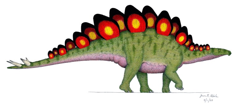 Stegosaurus – DINOSAURS AND BARBARIANS