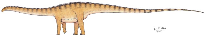 Ceratosaurus Osteoderms: A Revised Perspective – DINOSAURS AND BARBARIANS