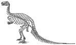Altispinax: The Mysterious Meat-Eater of Early Cretaceous England ...