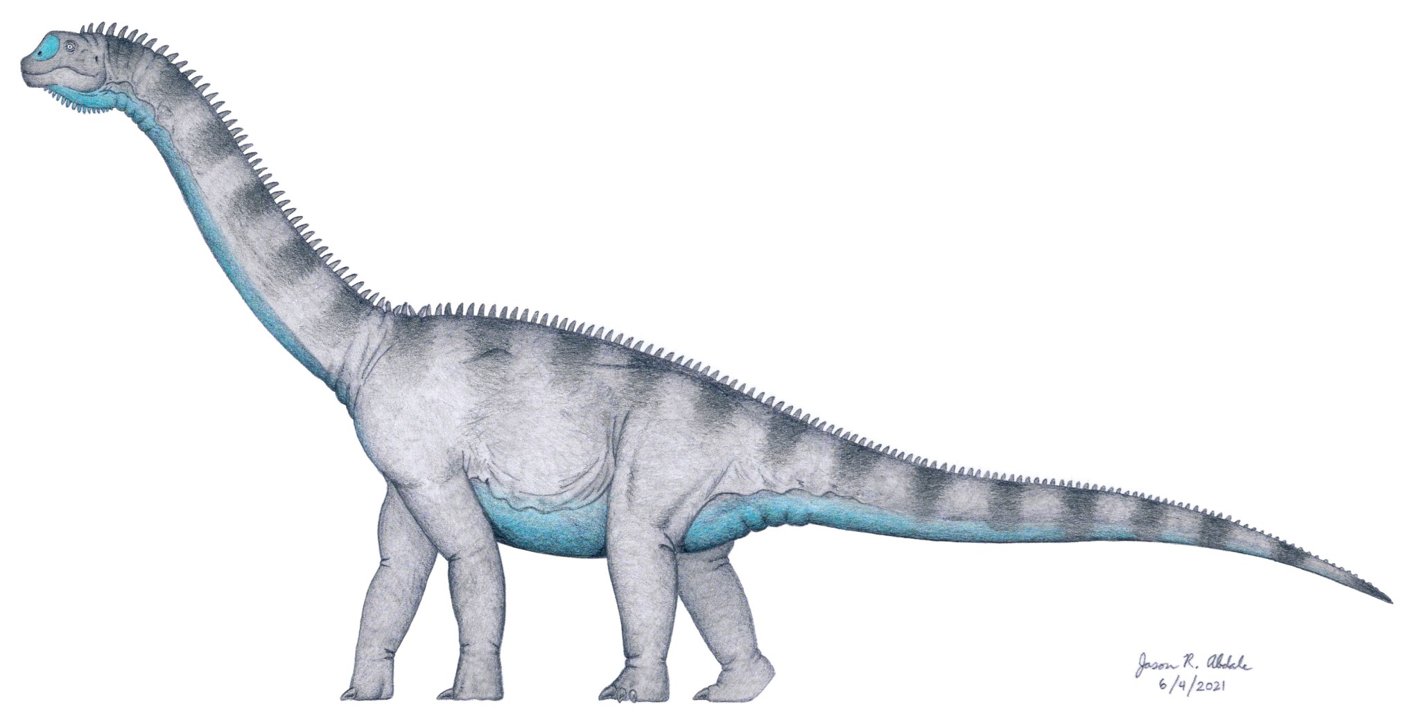 Astrodon – DINOSAURS AND BARBARIANS