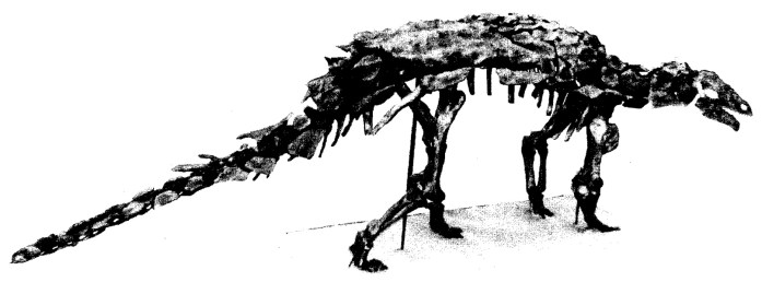 Gargoyleosaurus – DINOSAURS AND BARBARIANS