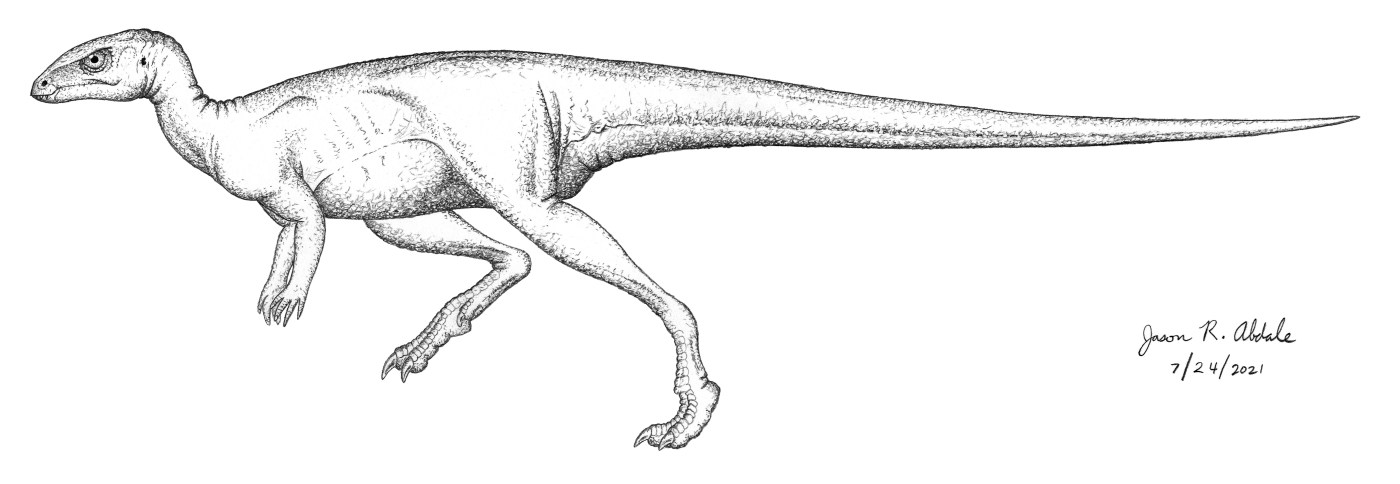 Zephyrosaurus – DINOSAURS AND BARBARIANS
