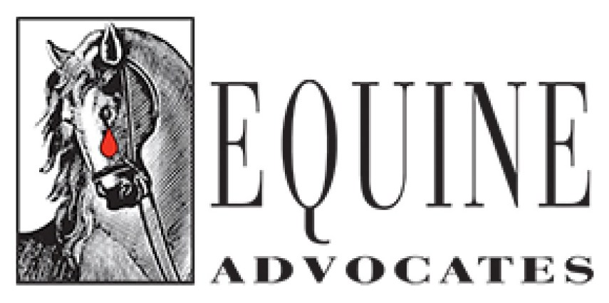 December 15 – A Day of Prayers, Sacrifices, and…Mule Racing? The ...