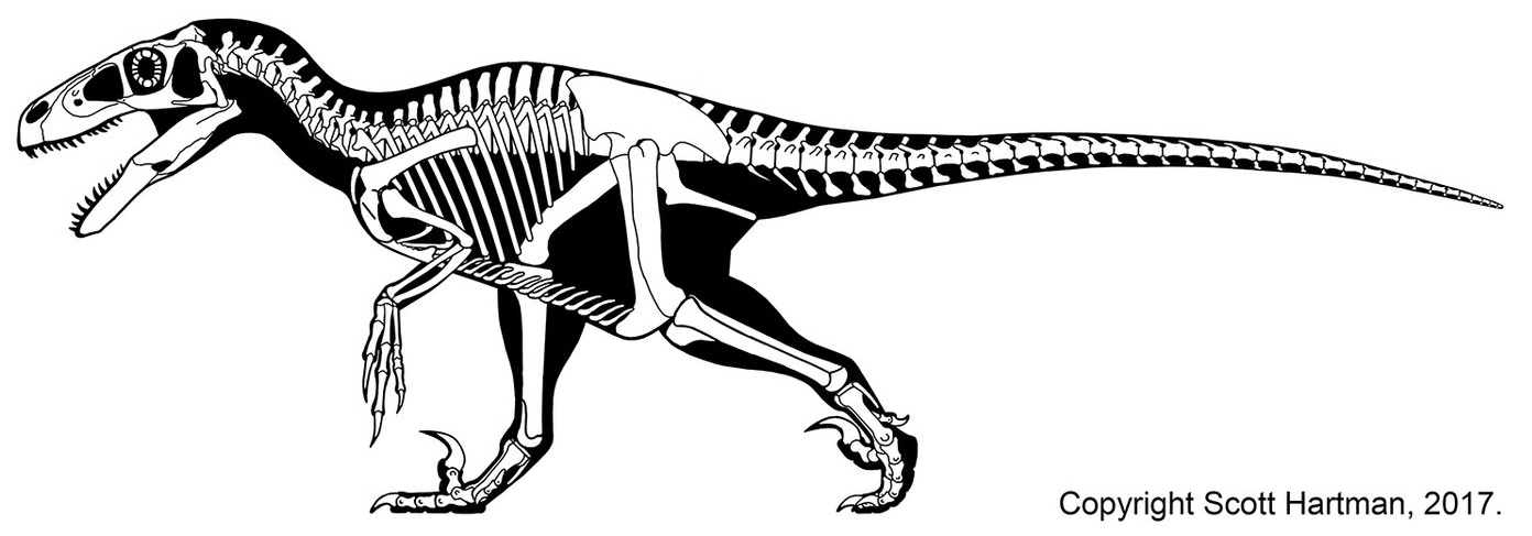 Utahraptor The Largest Raptor Known To Date