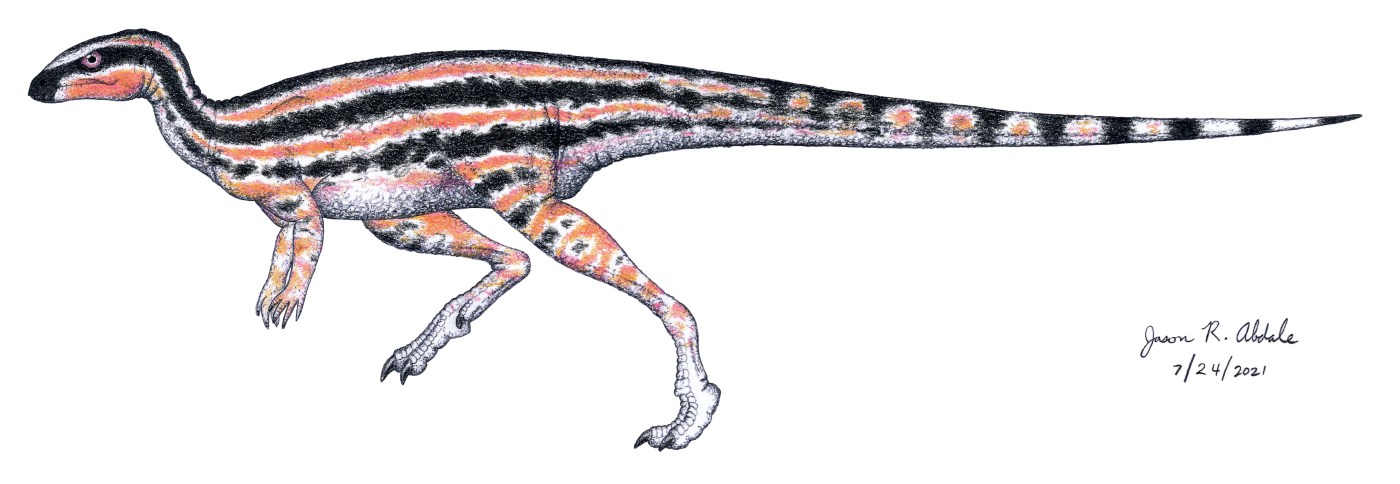 Zephyrosaurus – DINOSAURS AND BARBARIANS