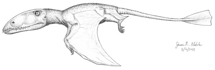 Dimorphodon – DINOSAURS AND BARBARIANS