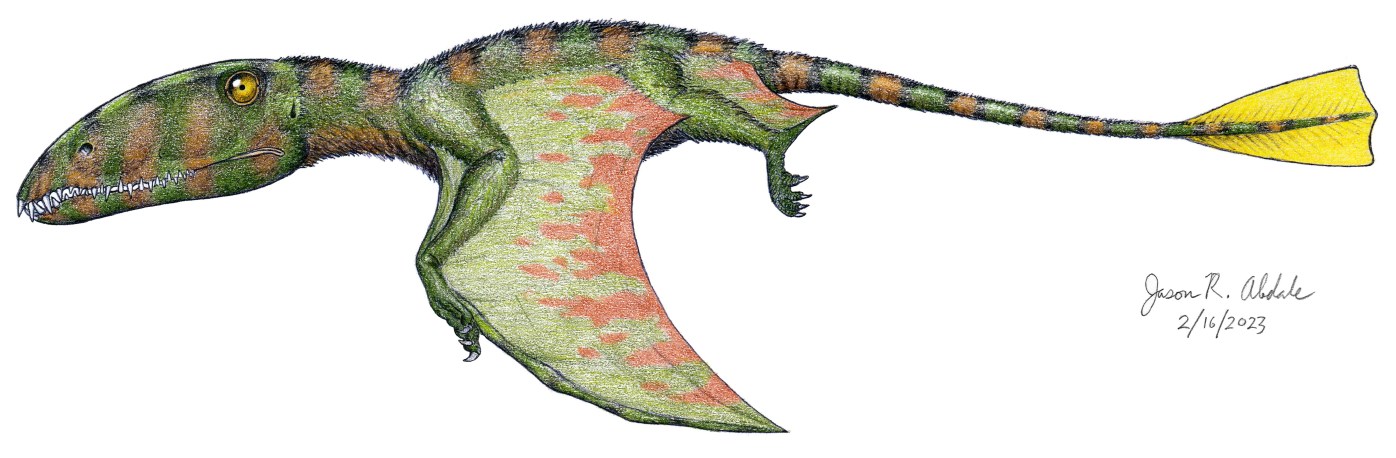 Dimorphodon – DINOSAURS AND BARBARIANS