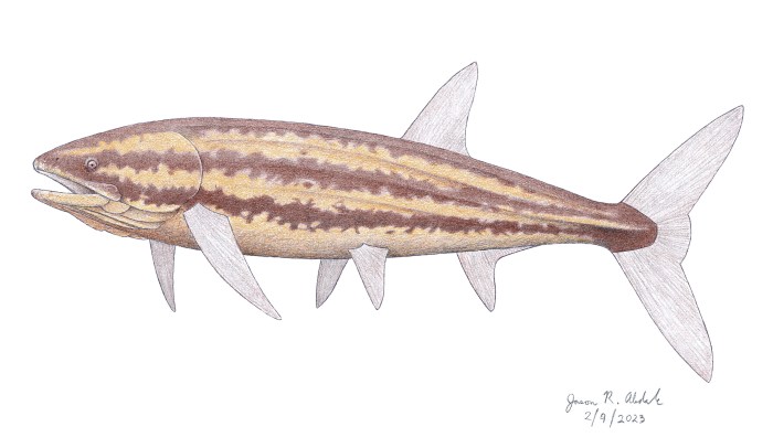 Leedsichthys – DINOSAURS AND BARBARIANS