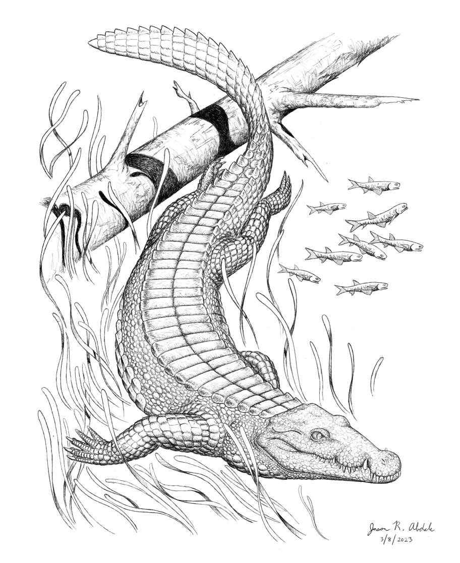 Goniopholis: The Typical Mesozoic Crocodile – DINOSAURS AND BARBARIANS