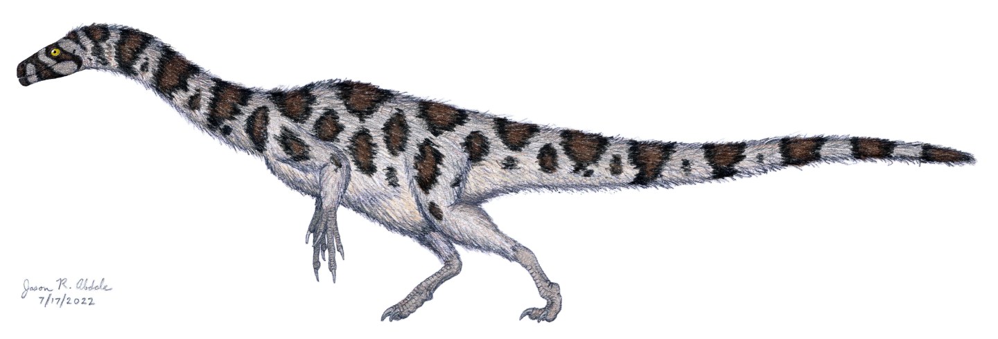 Falcarius – DINOSAURS AND BARBARIANS
