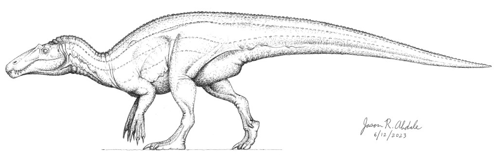 Suchosaurus: The First Spinosaur to be Named – DINOSAURS AND BARBARIANS