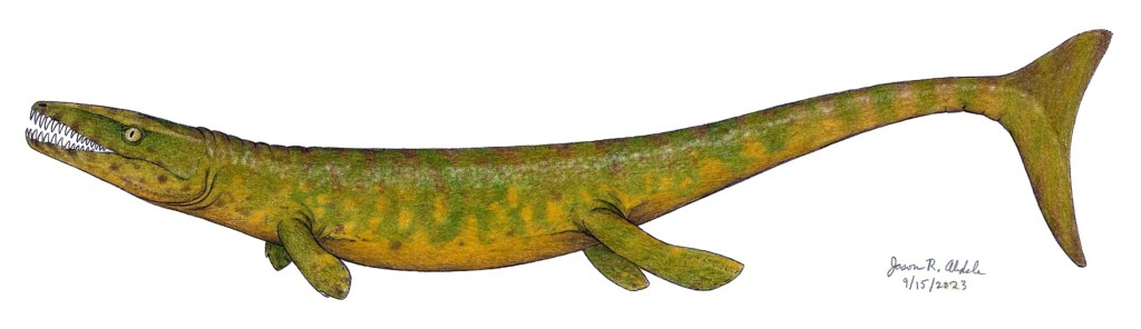 Dakosaurus – DINOSAURS AND BARBARIANS