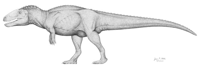 Kelmayisaurus – DINOSAURS AND BARBARIANS
