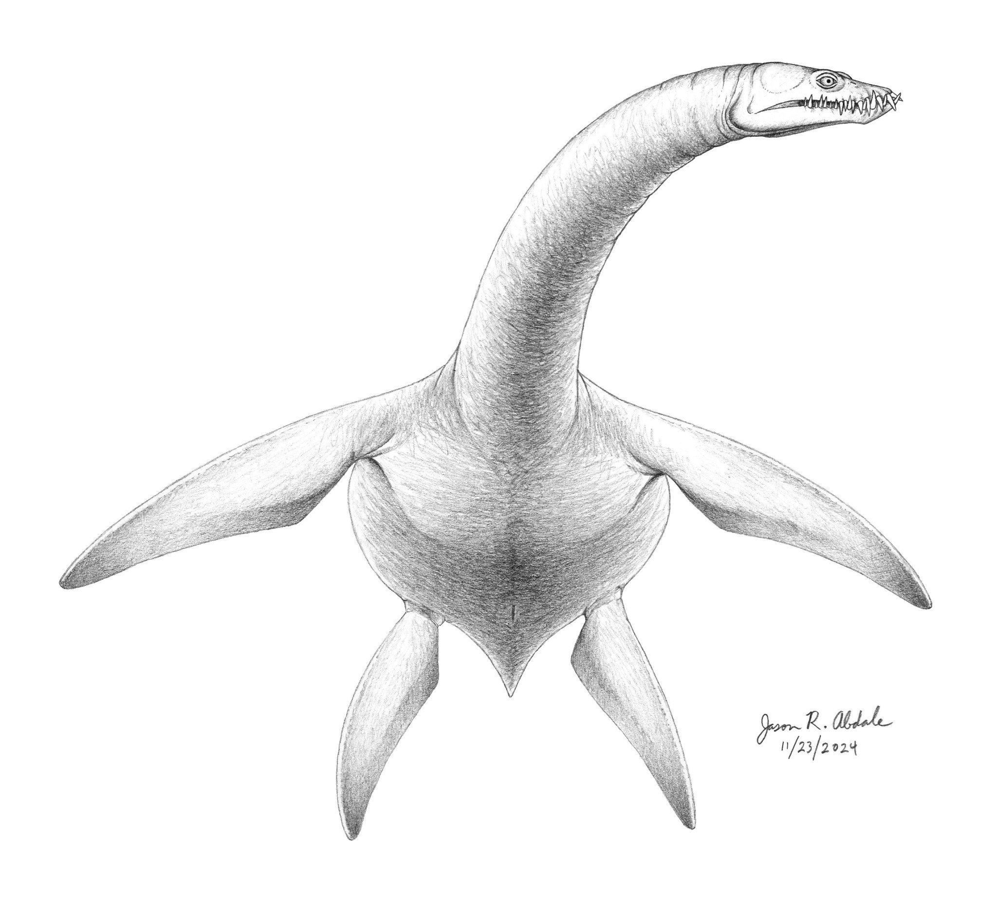 Cimoliasaurus – DINOSAURS AND BARBARIANS