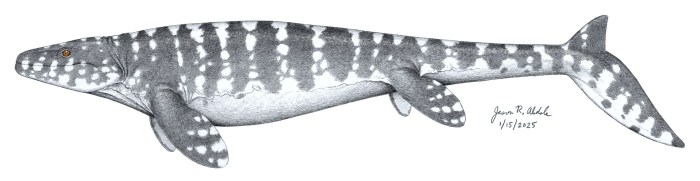 Prognathodon – DINOSAURS AND BARBARIANS