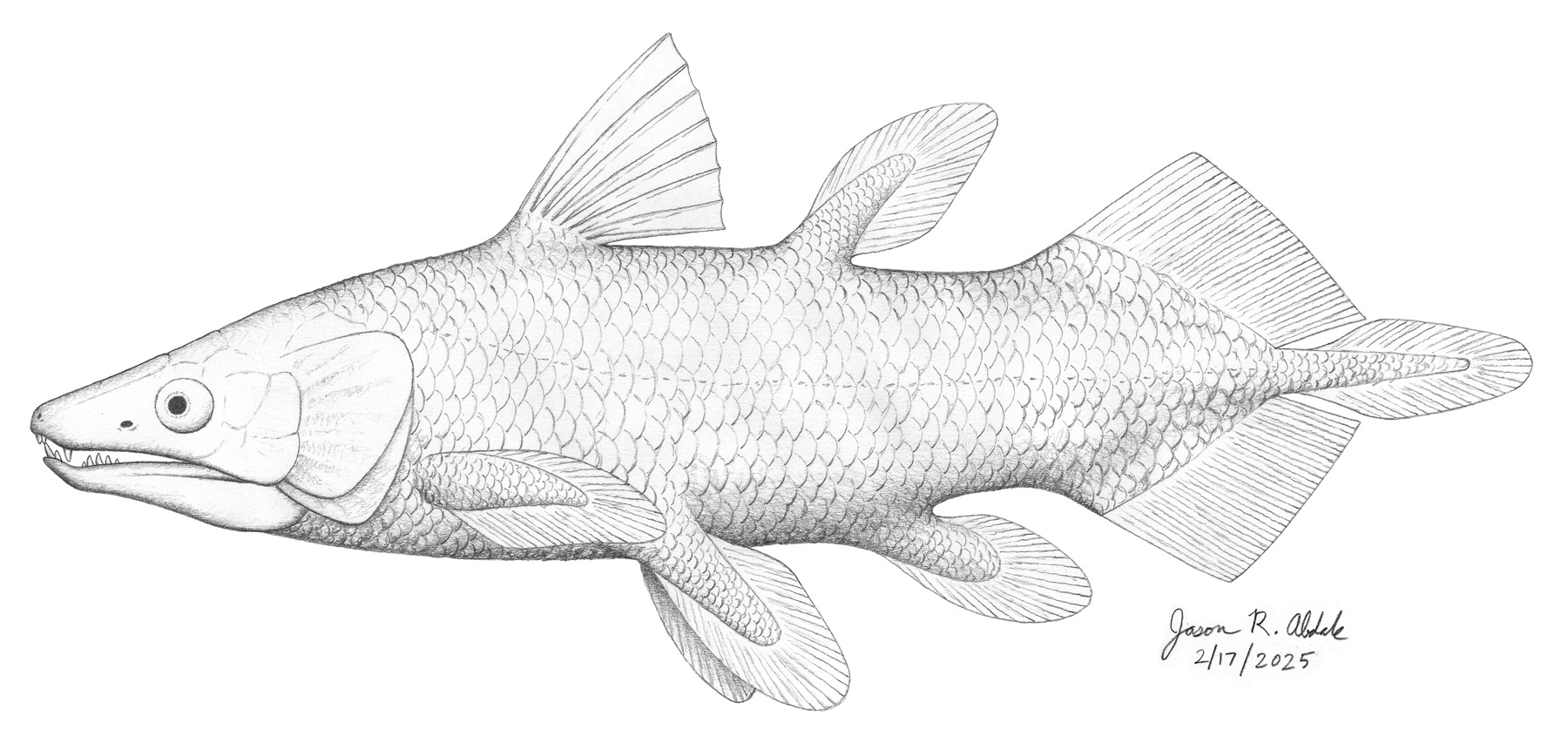 DINOSAURS AND BARBARIANS