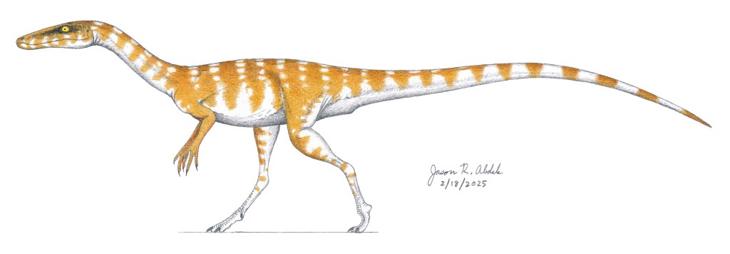 Segisaurus – DINOSAURS AND BARBARIANS