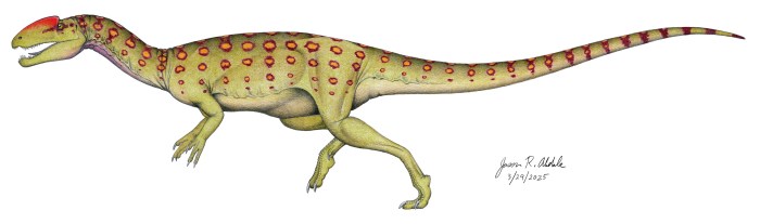 Sarcosaurus – DINOSAURS AND BARBARIANS