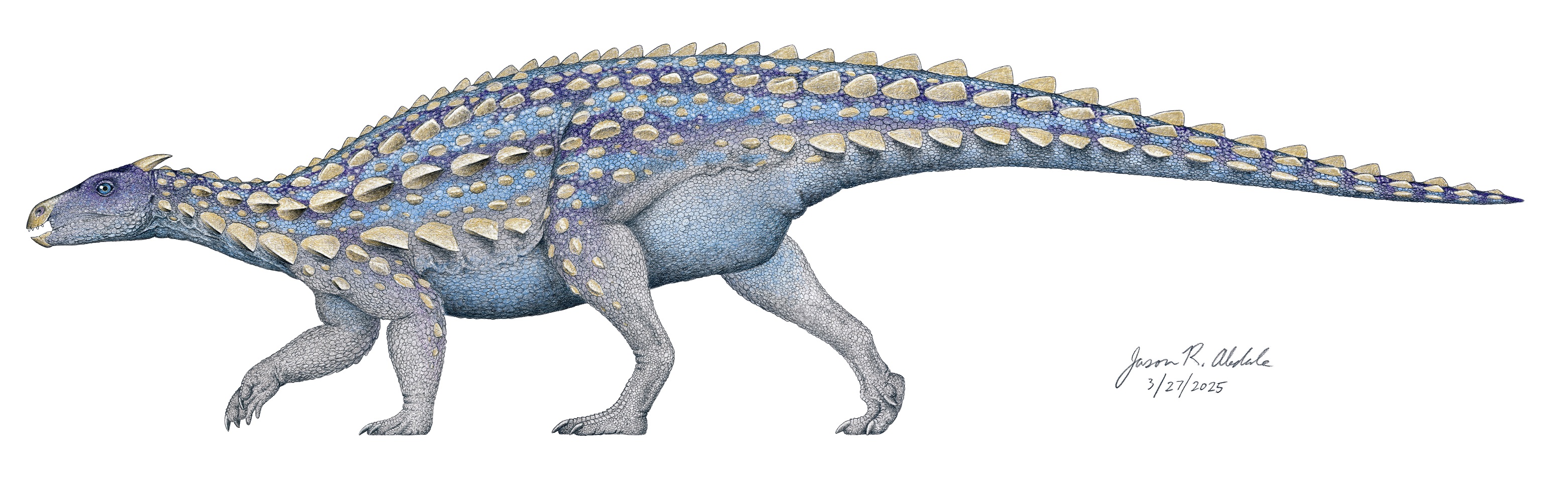 Scelidosaurus – DINOSAURS AND BARBARIANS