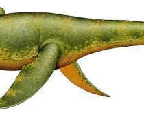 DINOSAURS AND BARBARIANS