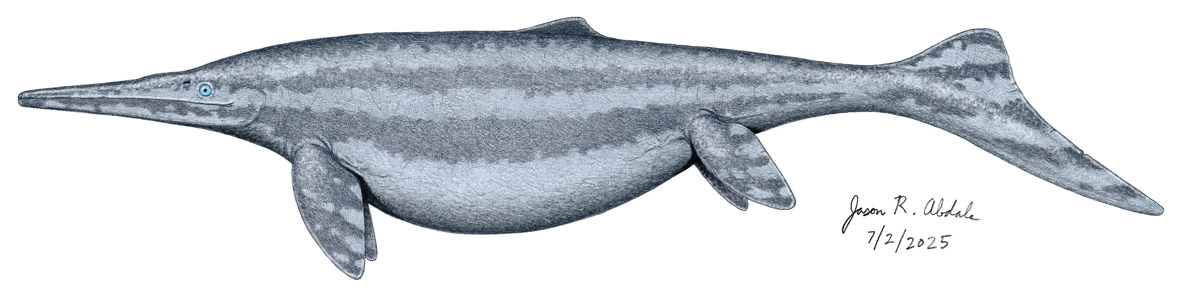 Shonisaurus – DINOSAURS AND BARBARIANS