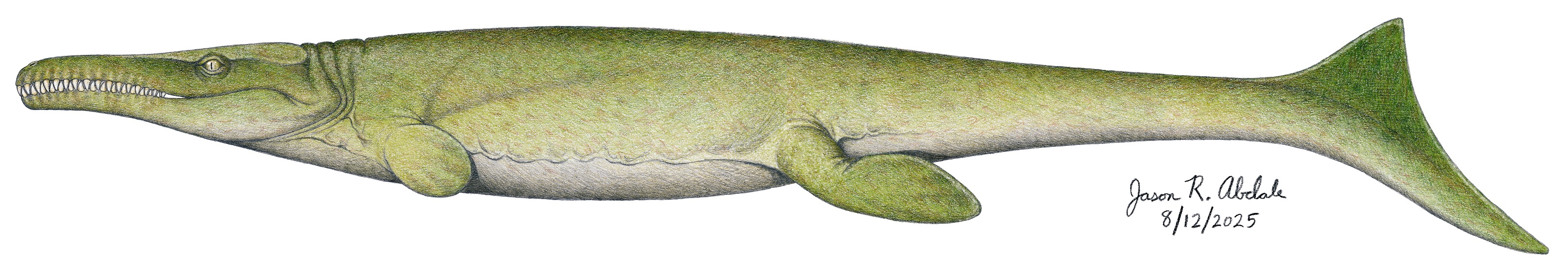 DINOSAURS AND BARBARIANS